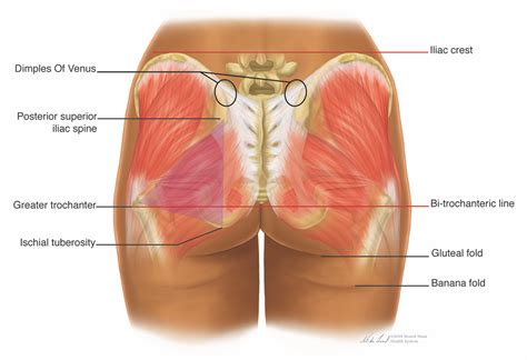 Non Surgical Buttock Augmentation Rejuvenation Resource