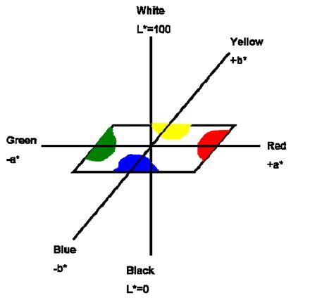 Representation Of The Cielab Coordinates Download Scientific Diagram