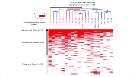 Heat Map From The Shotgun Proteomics Analysis Of 20 Foodborne Strains Download Scientific
