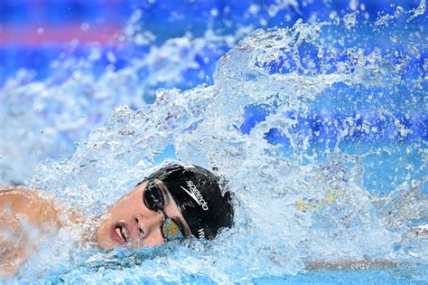 황선우 자유형 200m 3연속 결승행 첫 금메달 쏜다｜스포츠동아