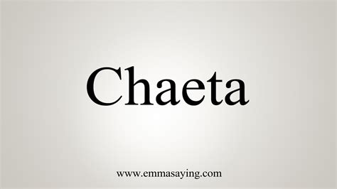 How To Say Chaeta Youtube