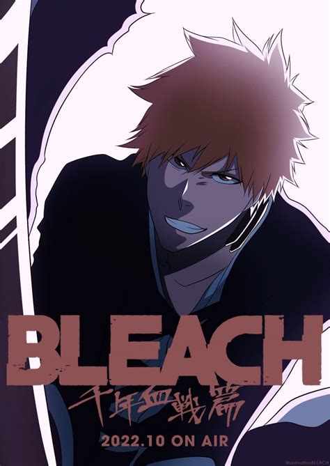 Blech Bleach Anime Bleach Anime Anime Bleach Characters