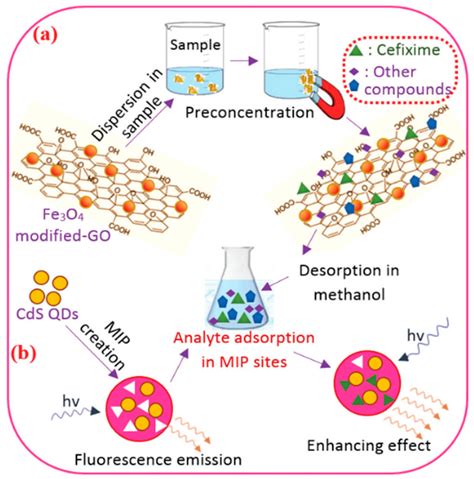 Recent Advances And Perspectives Of Molecularly Imprinted Polymer Based Fluorescent Sensors In