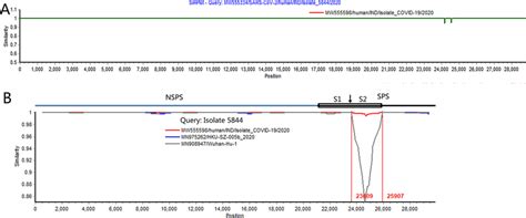 comparison of genome sequence similarity between two indian sars cov 2s