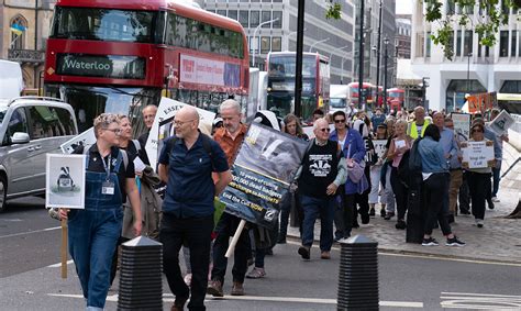 End The Badger Cull Campaign Reaches Westminster