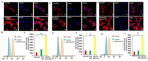 Cellular Uptake Measured Through The Clsm And Fcm Assays The Confocal