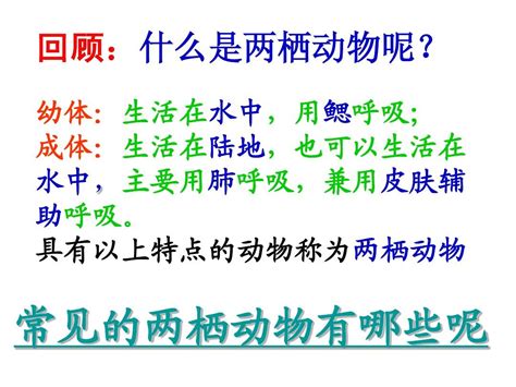 两栖动物的生殖和发育20111121word文档在线阅读与下载无忧文档