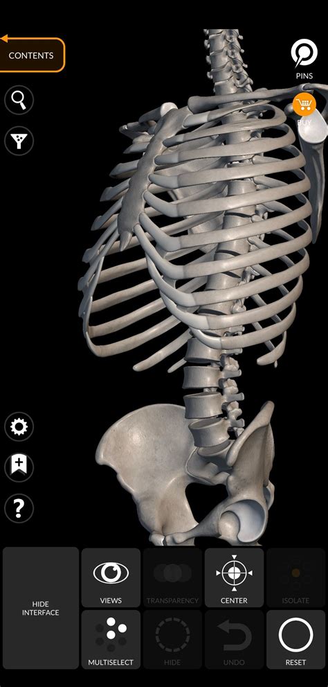 이 10가지 앱으로 인체 해부학에 대해 3d로 알아보기 All Things N