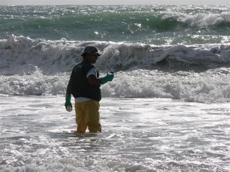 G Relatório aponta piores trechos para banho em praias e rios de Alagoas notícias em Alagoas