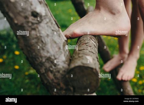 Girl Up Ladder Tree Hi Res Stock Photography And Images Alamy