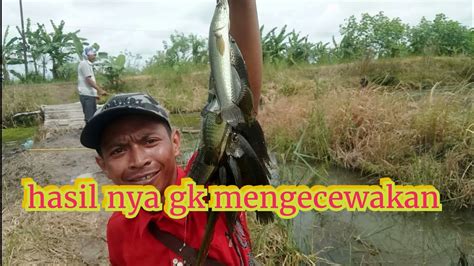 Mancing Sebentar Dapat Banyak YouTube