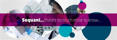 Sequani Linkedin