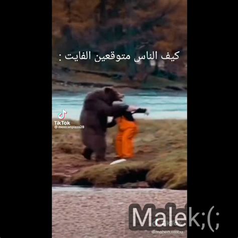 ميمزالدب Ahmed Vs The Bear Was Like Raburobsubmissions