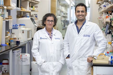 Balancing Act Reversing Lung Fibrosis In Scleroderma Requires Increased Antifibrotic Proteins