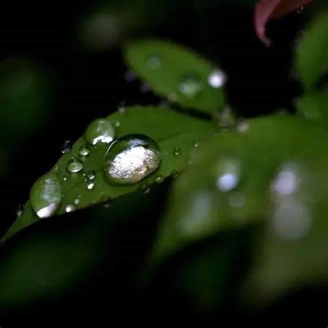 贵州气温即将回升但仍有降雨 夜间 白天 多云间阴