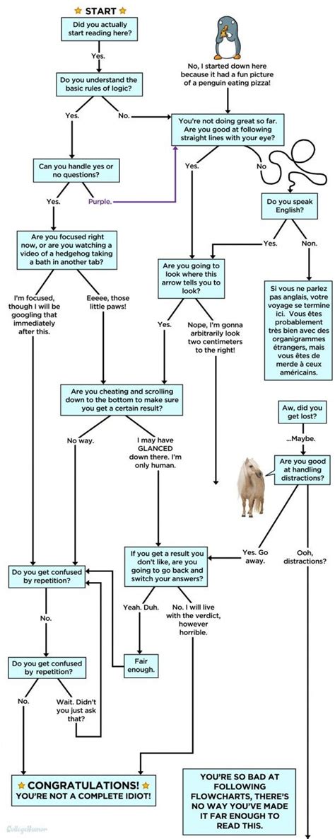A Funny Flow Chart Infographic Funny Flow Charts Flow Chart