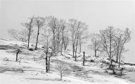 David Ringel Photography Blog Simple Blog Documenting My Various Photo Excursions…