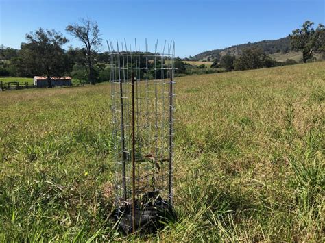 Tree Guard Protection Products Ekidna Tree Guard