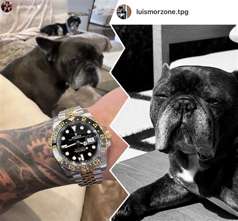 Sunday Best Coach Getting Cozy With Luis Morzone Good For Them Cute