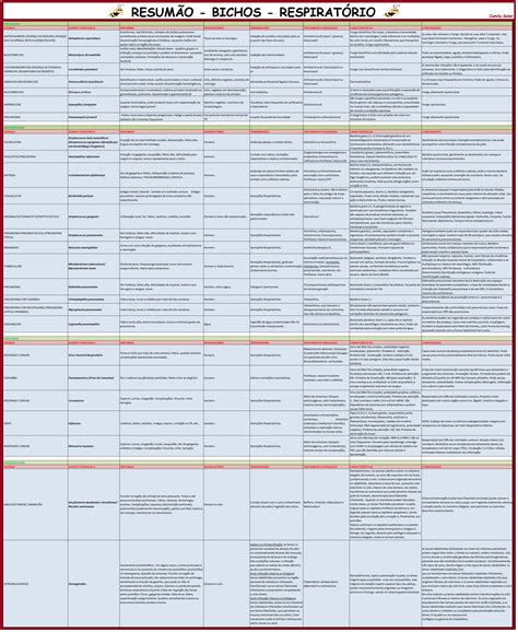 RESUMO DE AGENTES AGRESSORES DO SISTEMA RESPIRATÓRIO Microbiologia e