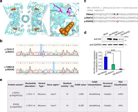 Usp Scientific Reports X Mol
