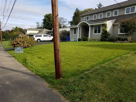 Lawn Renovation Yardley Pa Silt Seeding Evergreen Lmi