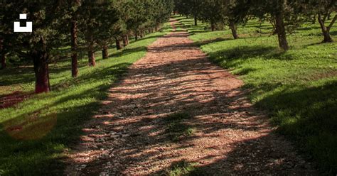 갈색 도로 근처푸른 하늘과 흰 하늘 아래 푸른 나무로 둘러싸인 푸른 들판 사진 Unsplash의 무료 길 이미지