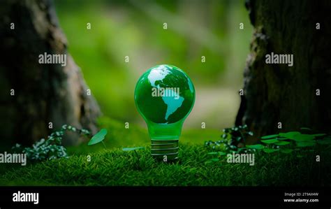 Small Earth In Forest With Concept Of Sustainability And Zero Carbon