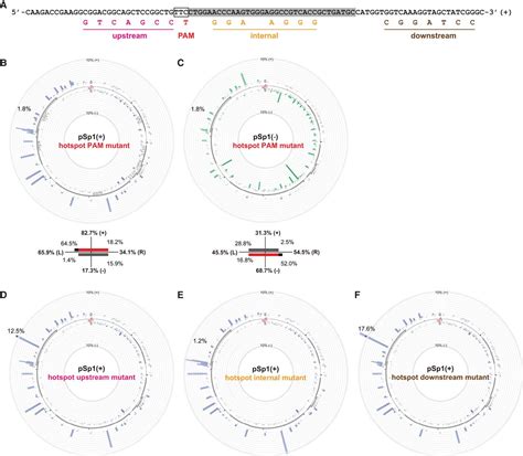 Priming In A Permissive Type I C Crisprcas System Reveals Distinct