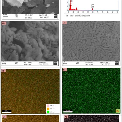 sem images eds and the corresponding eds elemental mapping c o and fe