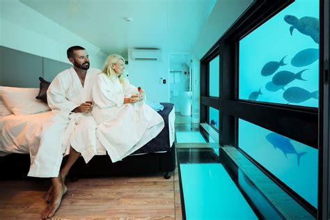 Things To Do In The Great Barrier Reef Tourism Whitsundays The