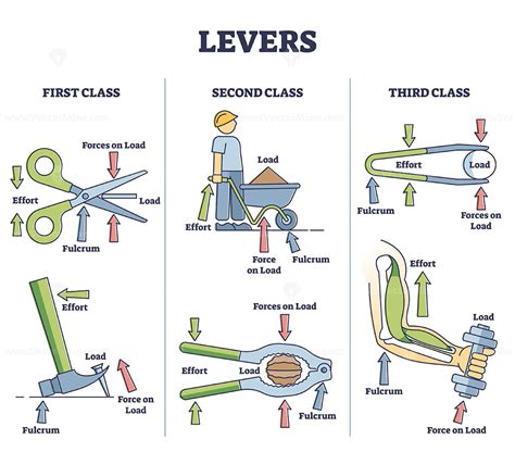 First Class Lever Diagram