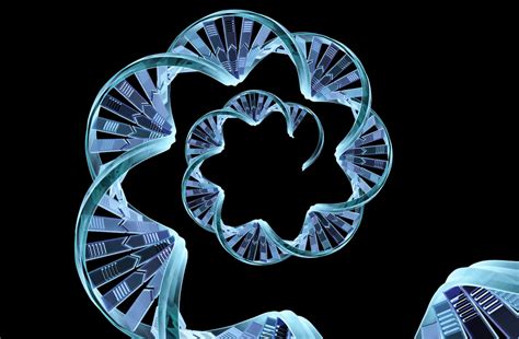 Crisprcas9 Transfection Reagents From Oz Biosciences