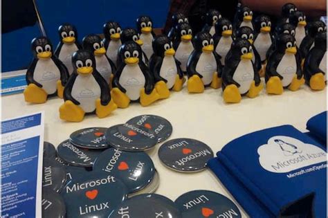Microsoft Pledges To Protect Linux And Open Source With Its Patents