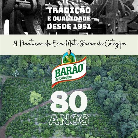 Comprar Erva Mate Terere Black Menta Premium Sem açúcar Barão g A Botica Orgânica de