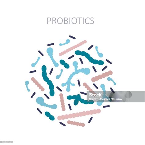 프로바이오틱스 박테리아 로고 비피더스 균 내장과 간 기능을 정상화하는 데 도움이되는 살아있는 미생물 프로바이오틱스는 면역 체계에 긍정적 인 영향을 미칩니다 건강한 식생활에