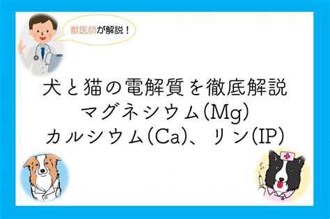 ペットフード手作り食の注意点：カルシウム不足 Life With Dogs And Cats