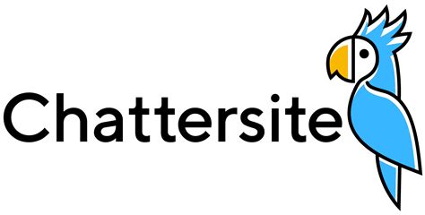 Smbs Guide To Streamlining Customer Data With Chattersites Basic Crm