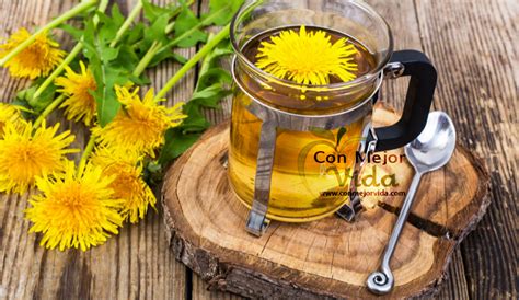Té de Diente de león Beneficios propiedades y contraindicaciones