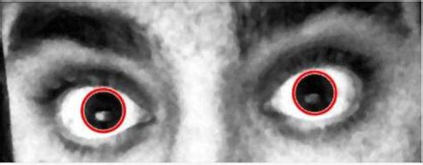 How Can You Crop Multiple Areas With All The Circles Detected Using