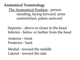 Physiology Ch Lecture Notes Ppt
