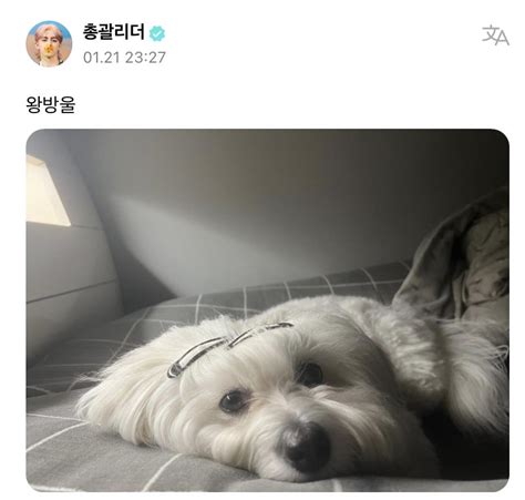 ૮ บนน ა 𓌈 𝘧𝘵 OMG on Twitter RT babygyow ปะปามาลงรปลกสาว