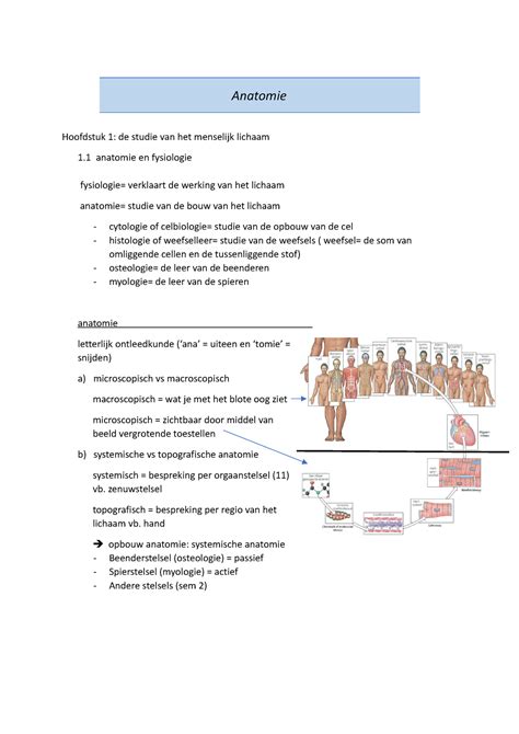 Samenvatting Anatomie Anatomie Hoofdstuk 1 De Studie Van Het