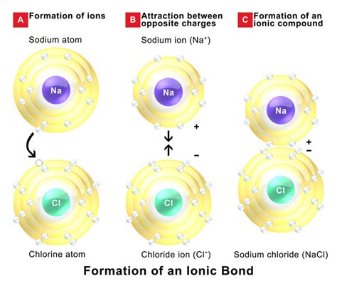 Difference Between Intermolecular And Intramolecular Forces