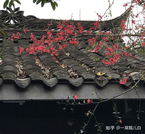 拔掉心头的那根刺 知乎