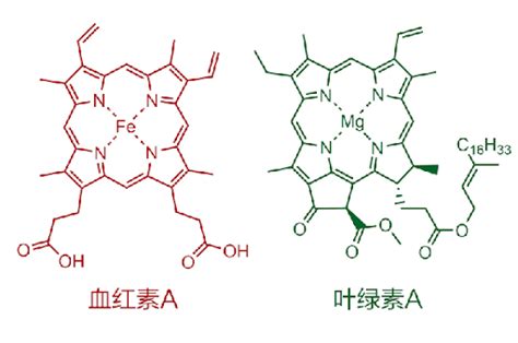 科学解读，到底啥才是真正的「塑料蓝」 蓝色 新浪科技 新浪网