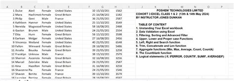 Poshem Technologies Institute Excel Course By Jones Dunikan Omosede