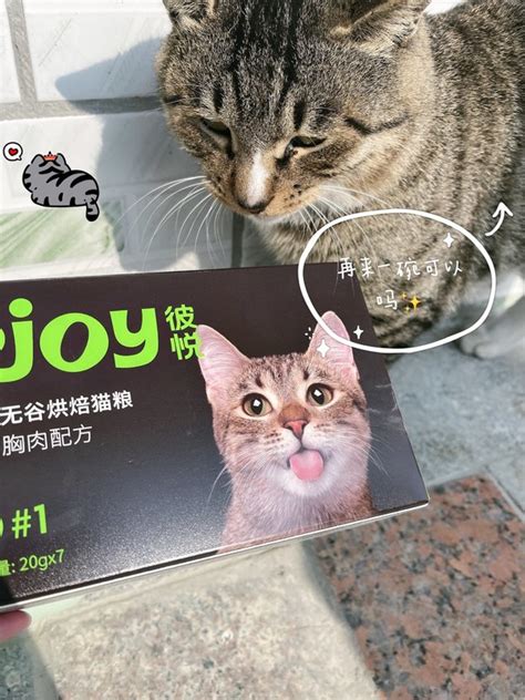 【彼悦】彼悦商城pjoy是什么牌子