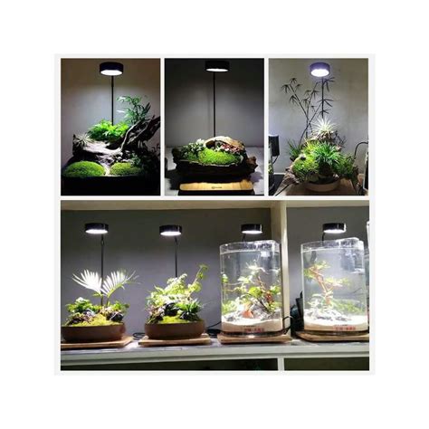 Buy Nilipal Led Aquarium Light With Bamboo Board 6000k Full Spectrum