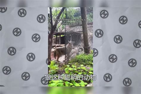 这可能是你一辈子首次见到的画面不是被相机拍到你绝不敢相信